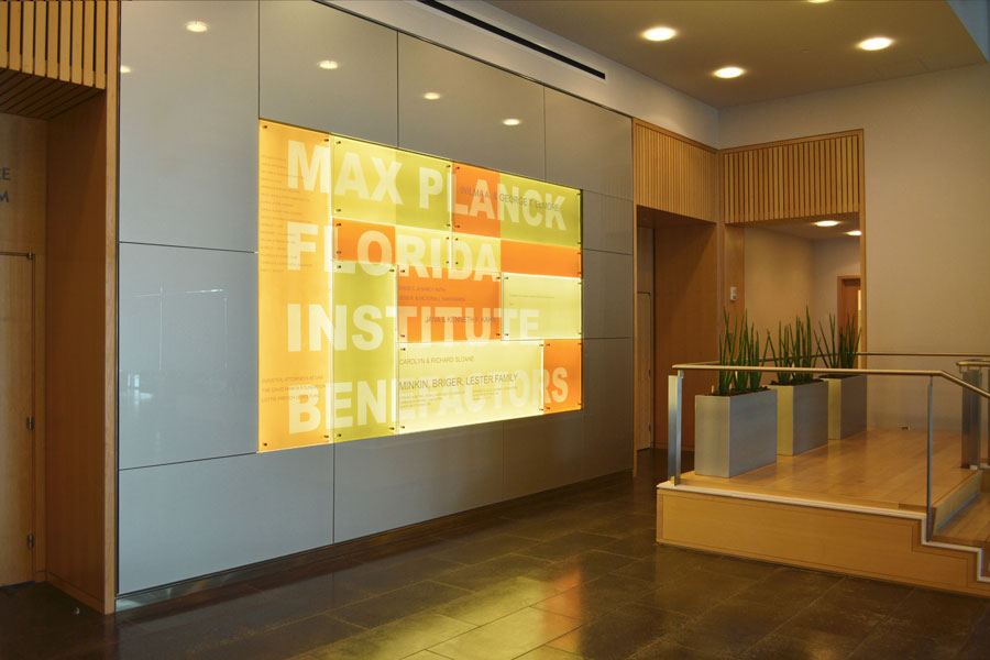 Backlit Graphic Feature Wall | GPI Design